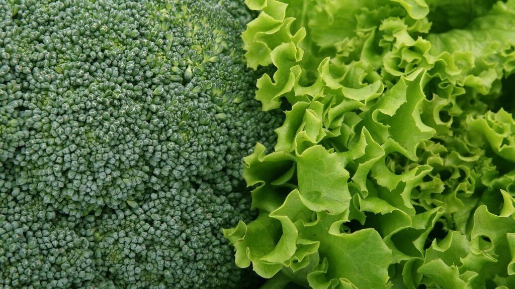 Verdure a foglia verde, quali sono? Benefici, proprietà, indicazioni
