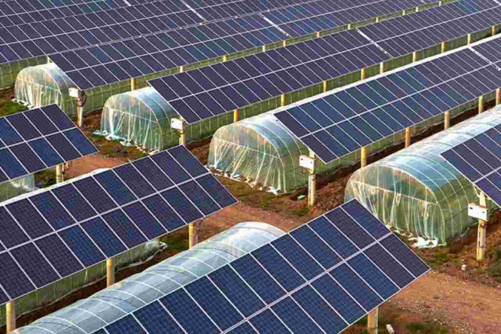 Engie ha inaugurato il parco agrivoltaico più grande d'Italia